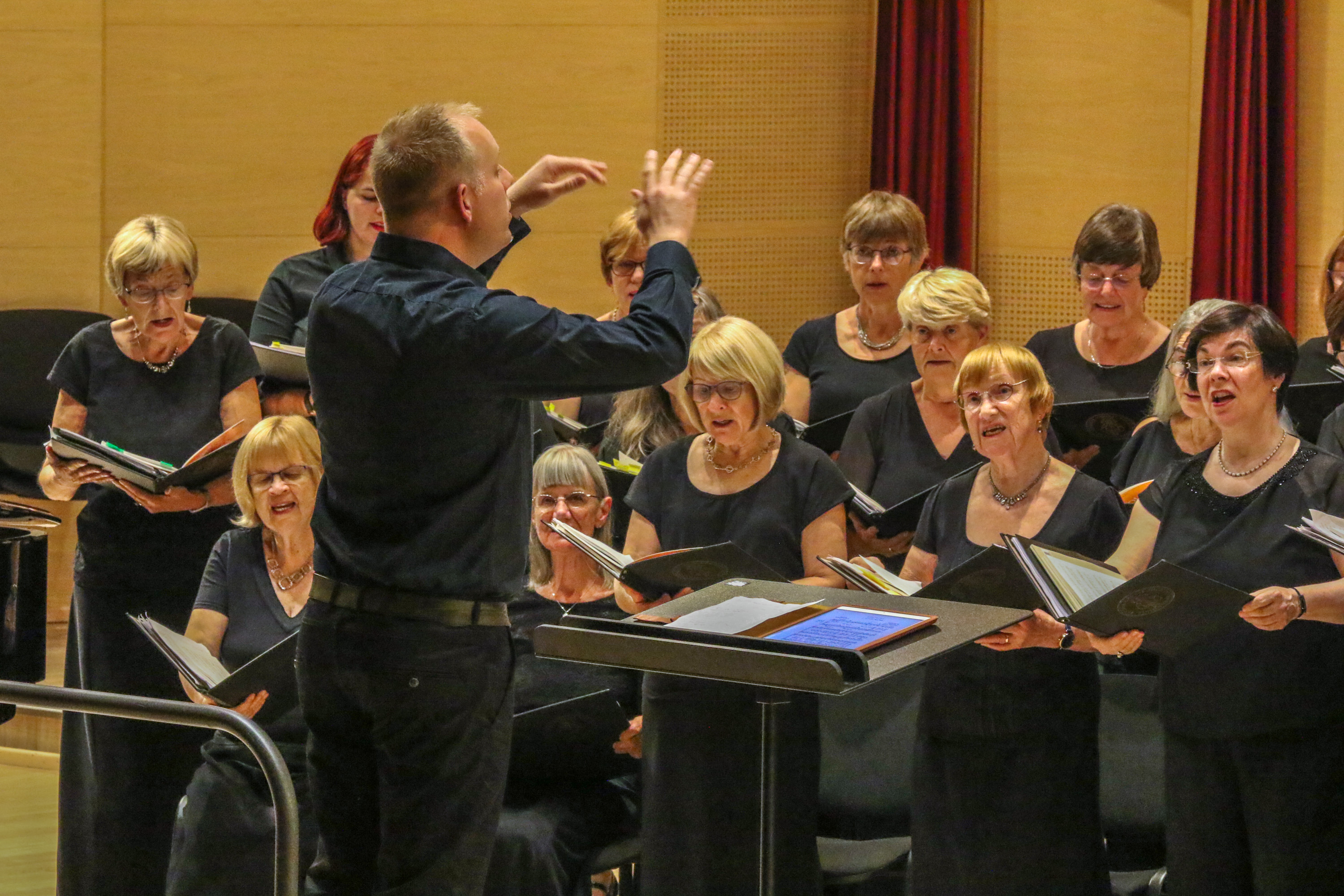 Alf White. Bran Castle and Brasov edited 2019-20 | BIRMINGHAM FESTIVAL ...