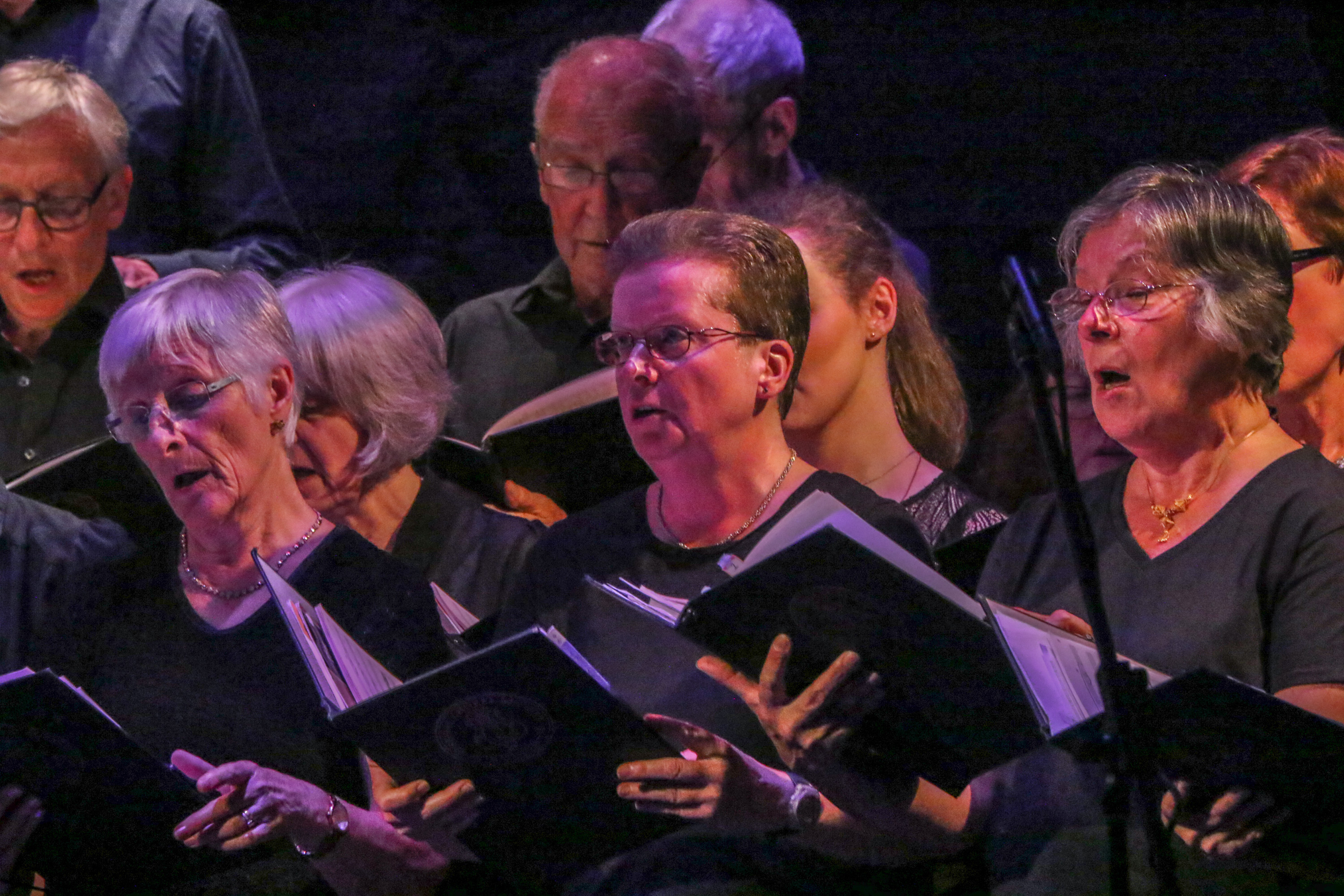 Alf White. Bucharest concert 2019-4 | BIRMINGHAM FESTIVAL CHORAL SOCIETY